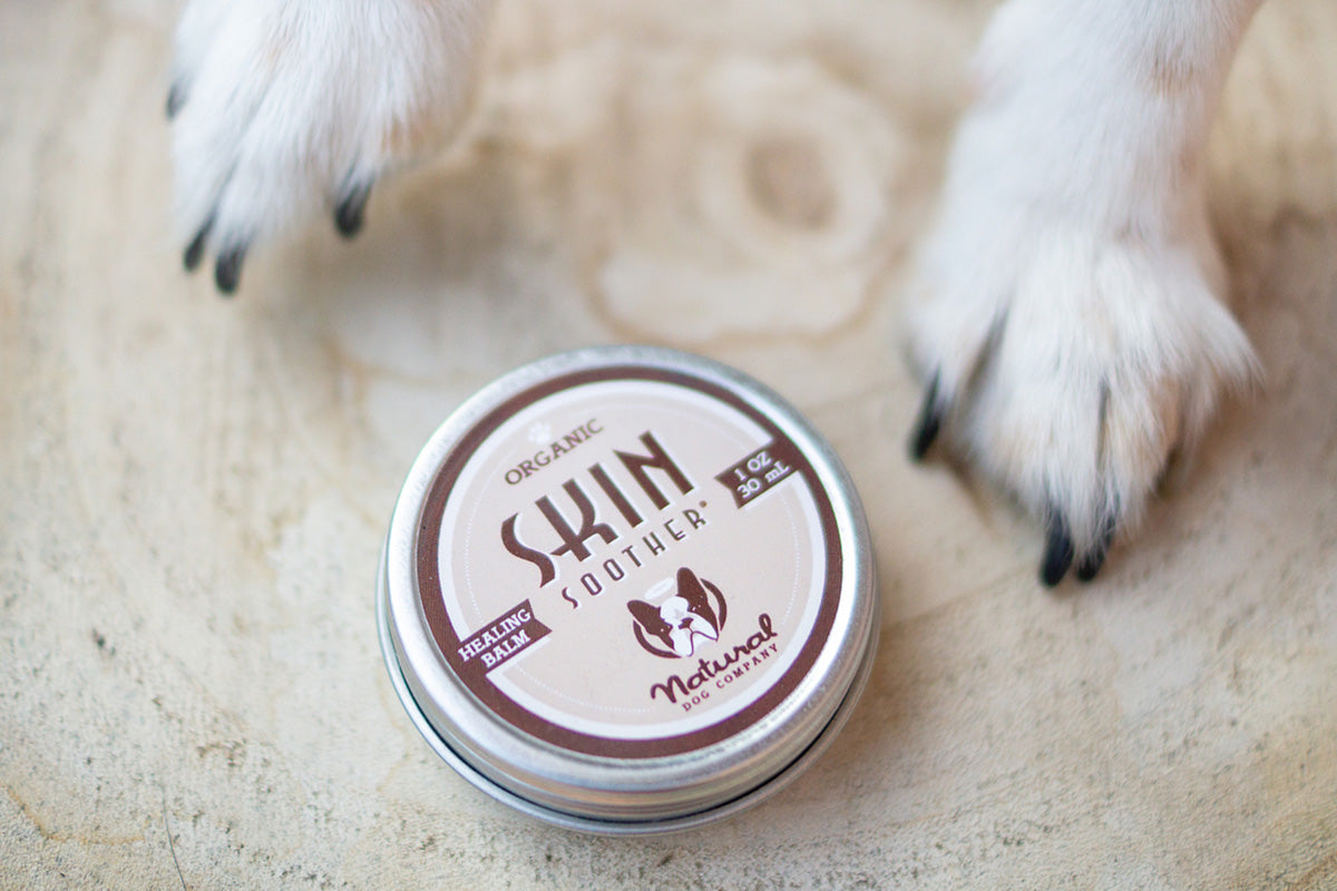 Interdigital Cysts: How to Heal a Furuncle – Natural Dog Company