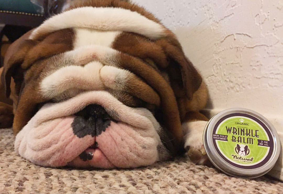 Organic Wrinkle Balm: Before and After Reviews with Pictures – Natural ...