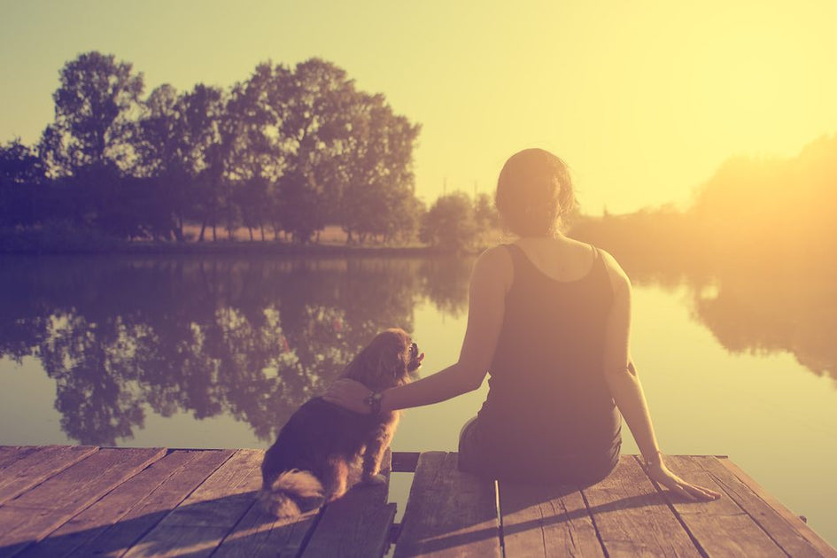 Treat Discoid Lupus with Snout Soother – Natural Dog Company