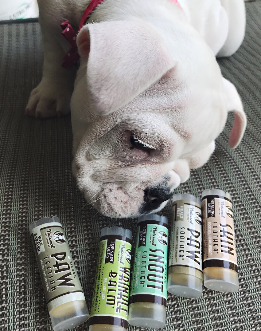 Powerhouse Travel Set | 5-piece – Natural Dog Company