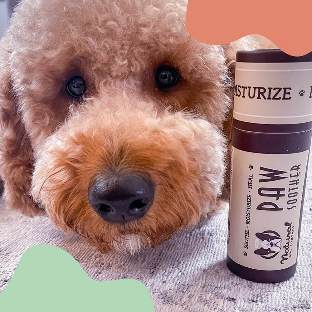 Skin & Coat System for Dogs | Complete Inside-Out Care | Natural Dog ...