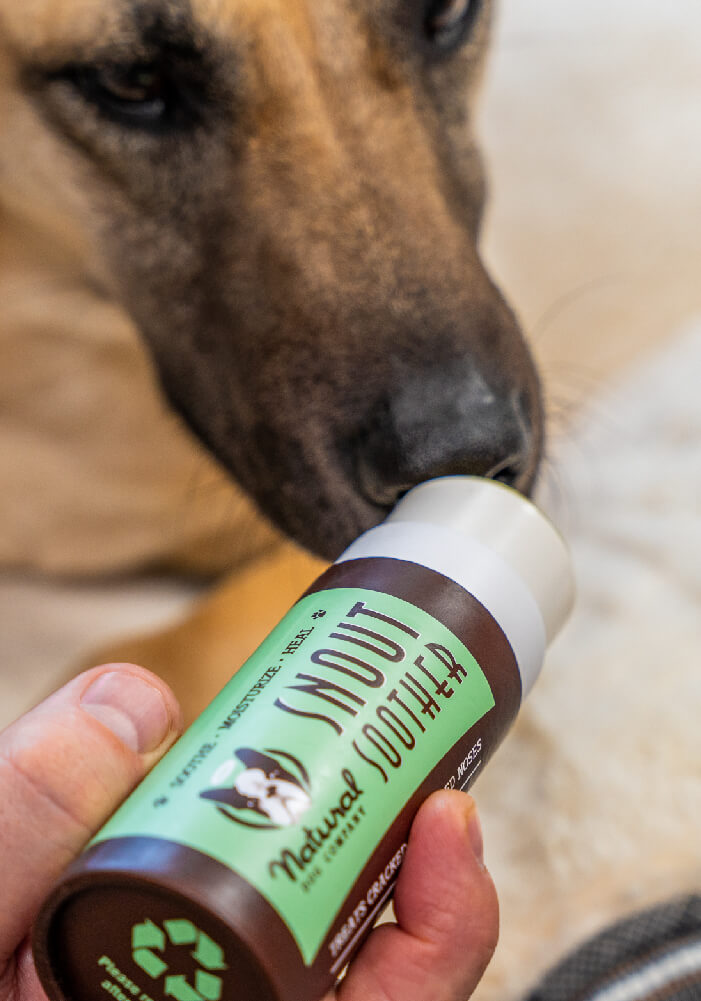 Snout Soother Balm for Dogs | Natural Dog Company